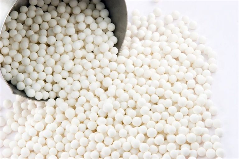 Que es la tapioca - Revista PEM