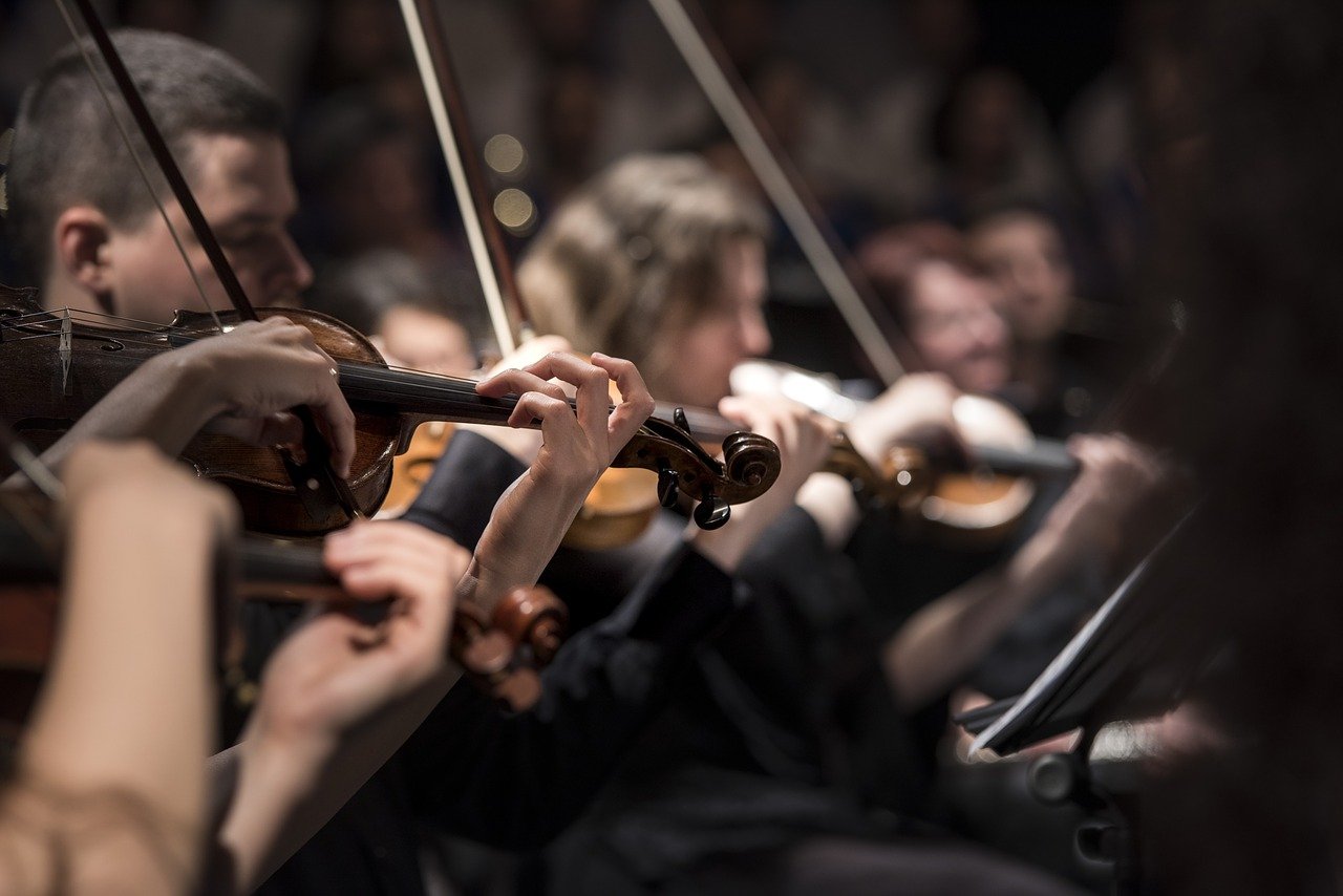 Conoce un poco la historia del violín - Revista PEM